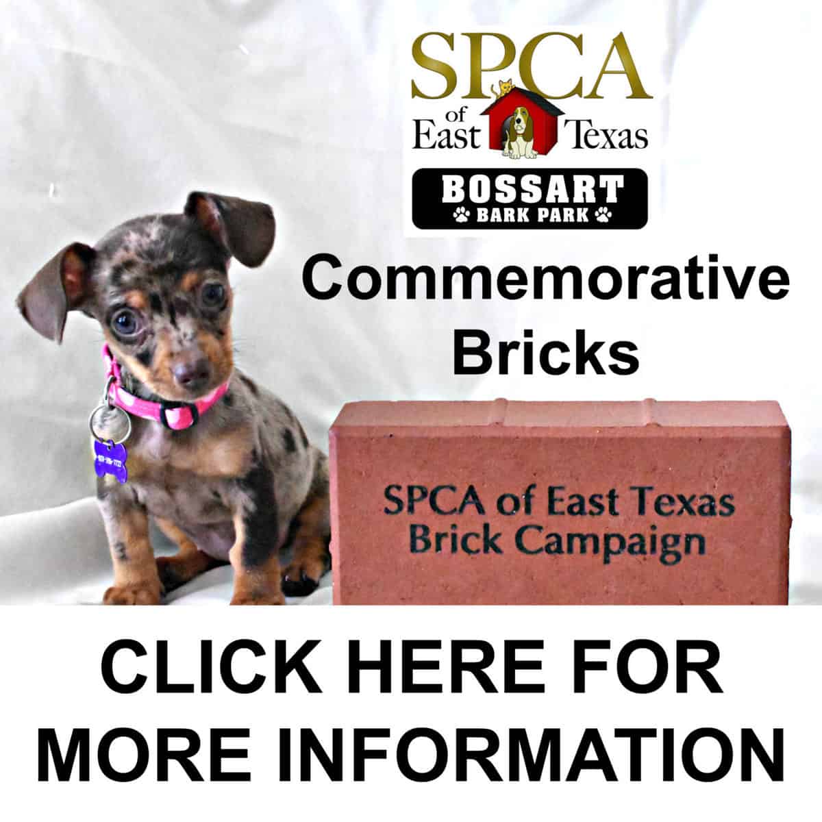 SPCA of East Texas