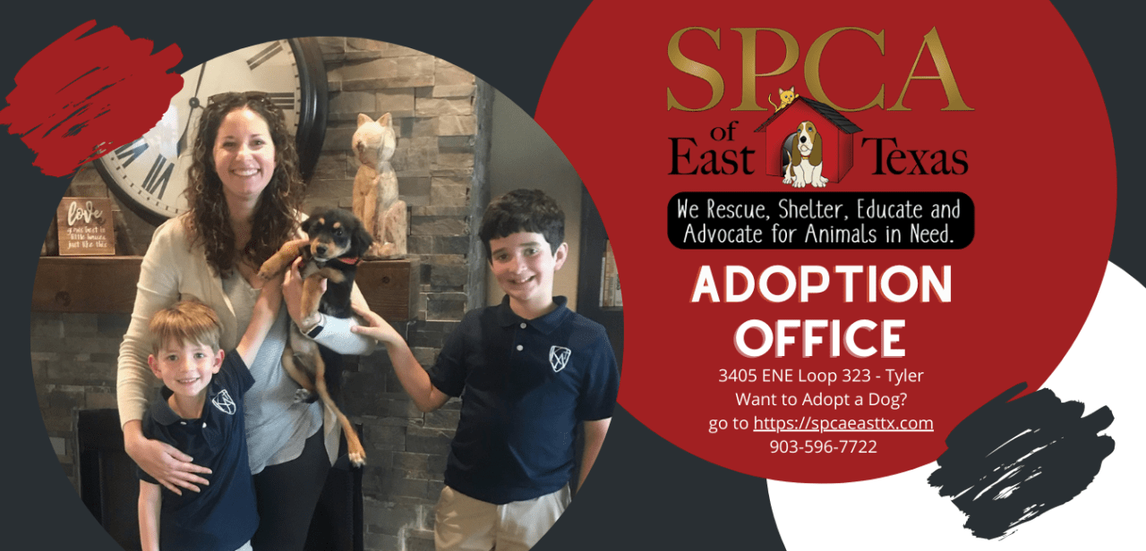 Dog Adoption Program | SPCA of East Texas