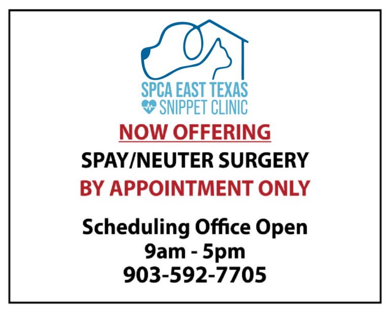 Spay/Neuter Services – SPCA of East Texas