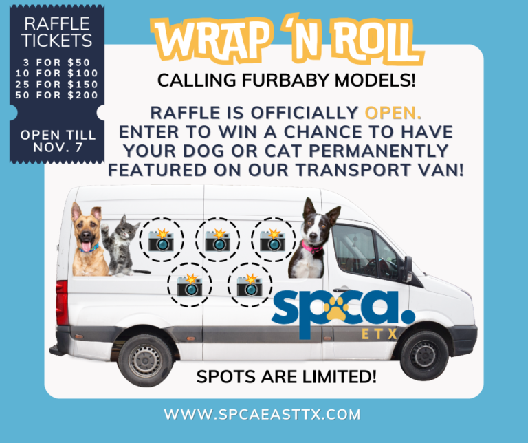 Wrap N Roll – SPCA of East Texas