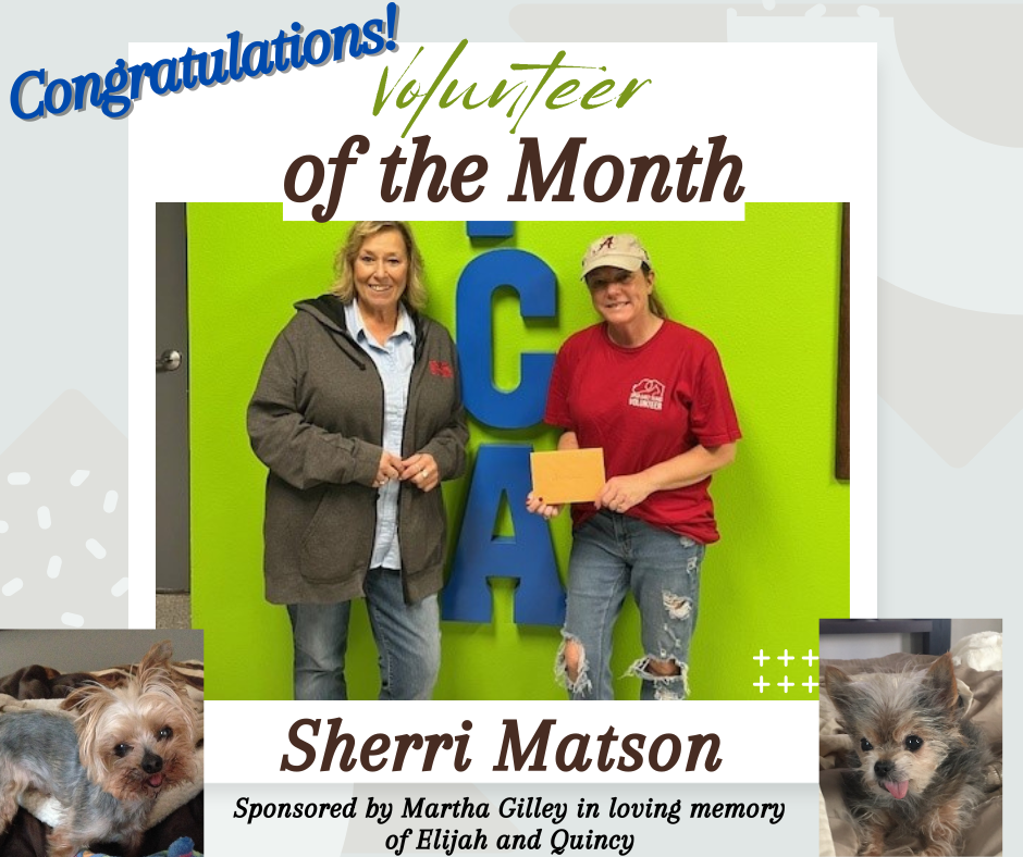 November Volunteer of Month – SPCA of East Texas